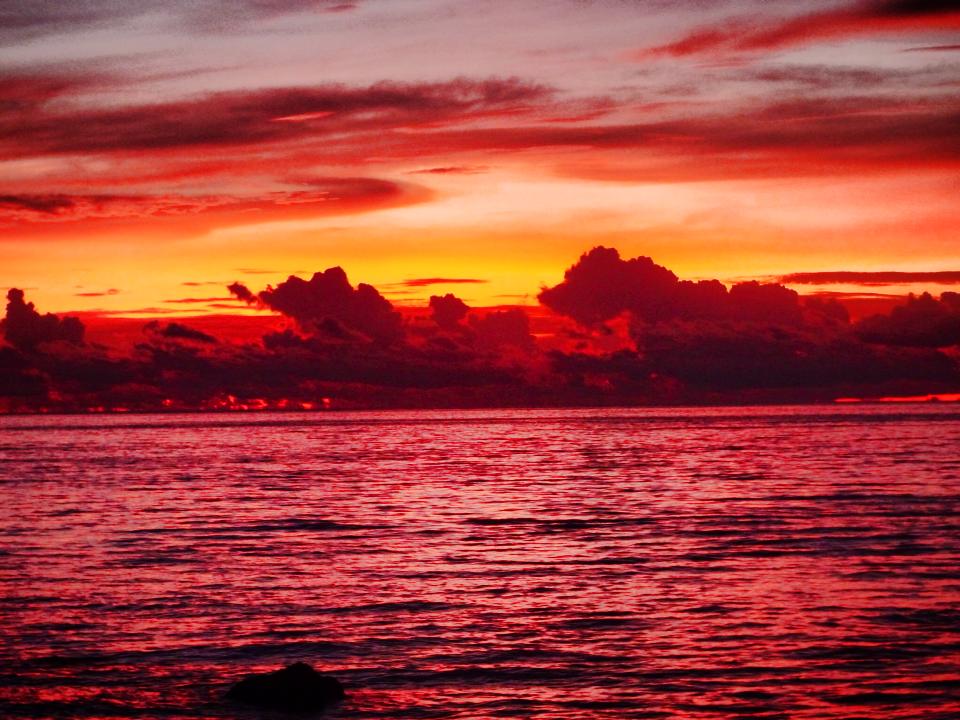 "South Pacific" Yields Enchanted Evening - Terry & Ann Marshall